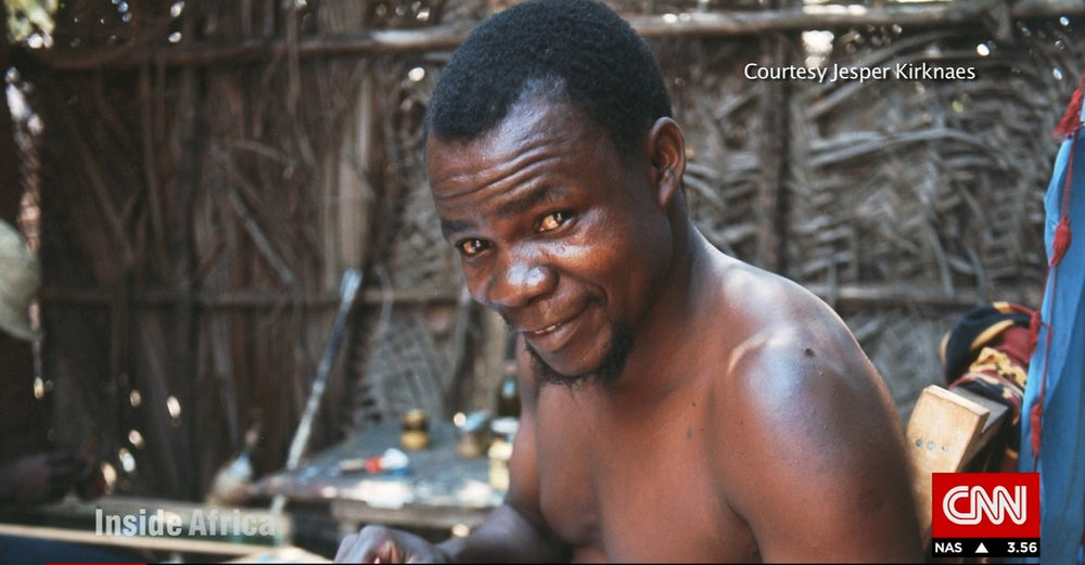 About Tingatinga Art: Tanzania's Most Iconic Painting Style ...
